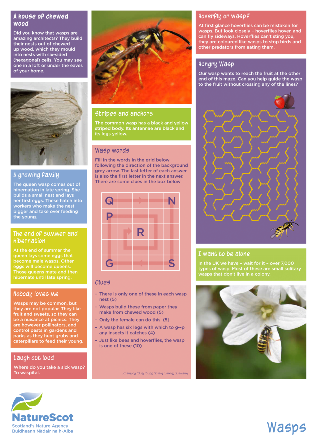 Citizen Science: Nature Scot Children's Activity Sheets (Bees & Wasps ...