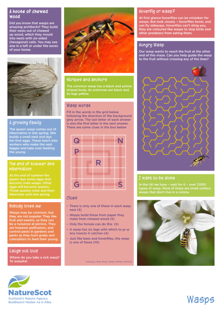Citizen Science: Nature Scot Children's Activity Sheets (Bees & Wasps ...