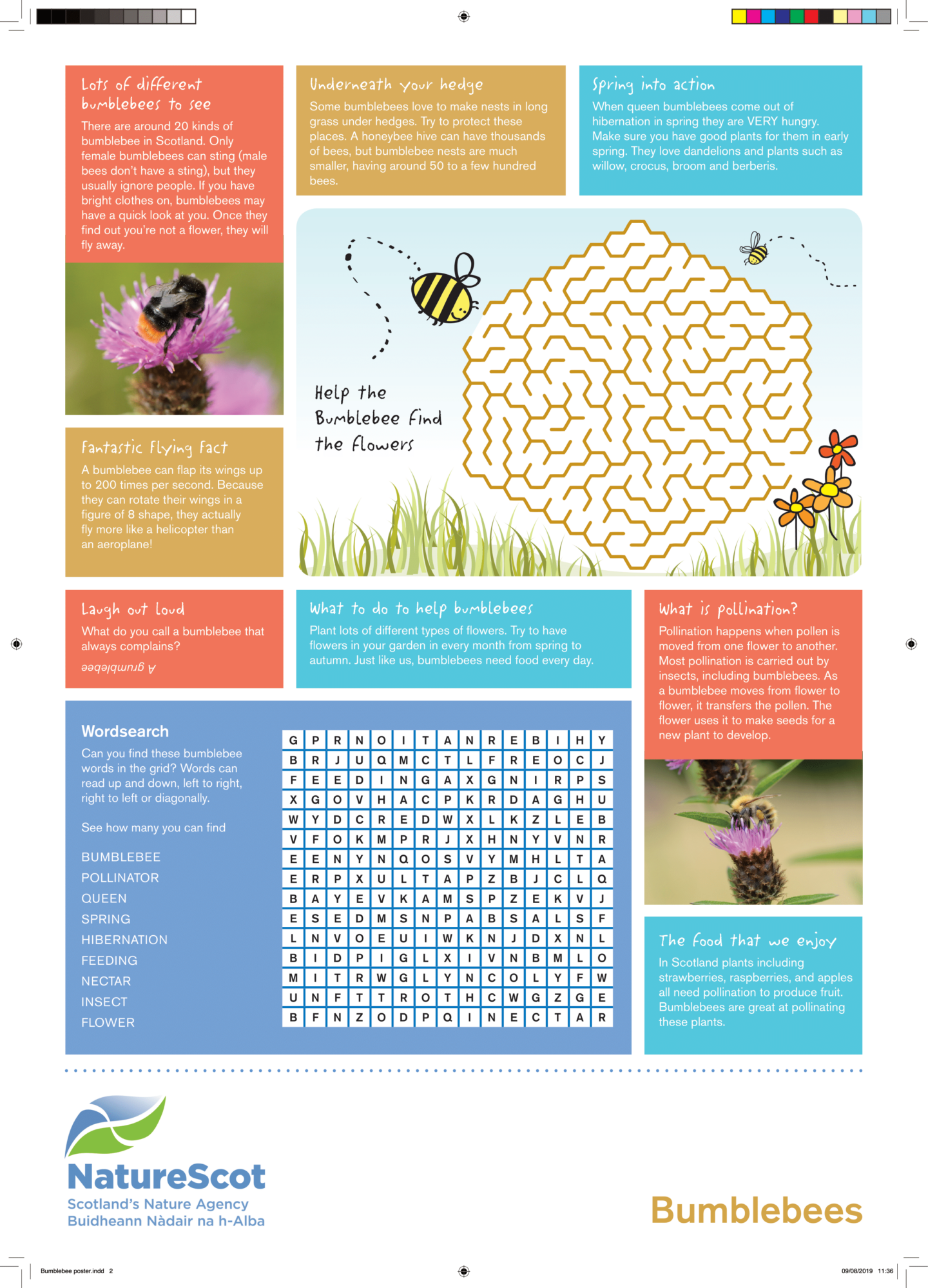 Citizen Science: Nature Scot Children's Activity Sheets (Bees & Wasps ...