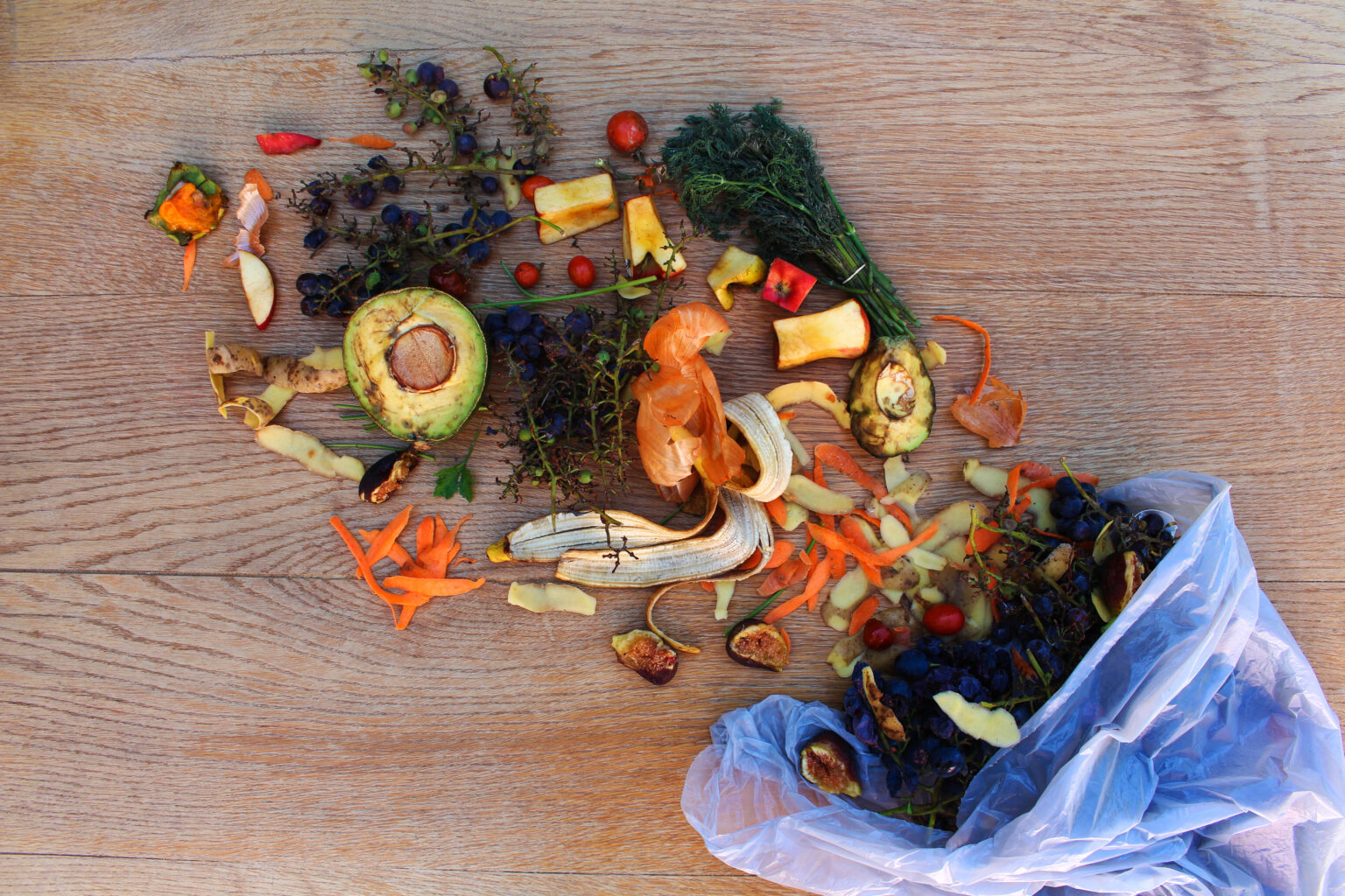 TRiFOCAL Food Waste Education Pack - Curious About Our Planet
