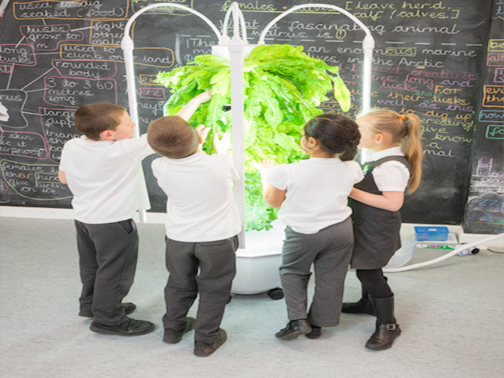 Rethink Food: Eat to Save the Planet - Curious About Our Planet