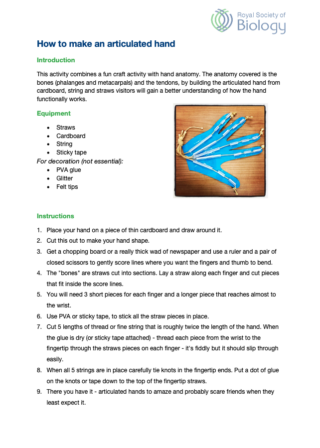 Make your own articulated hand - The Human Body