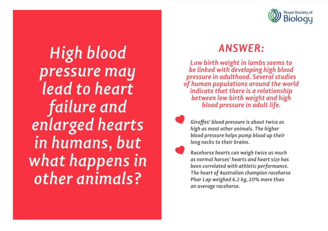 Heart Q&A - The Human Body