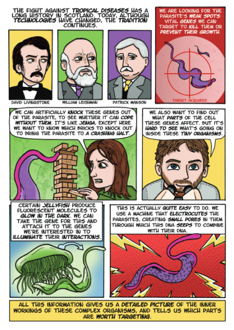 Parasite! - The Human Body