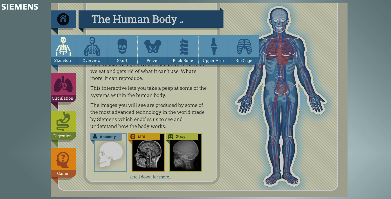 The Human Body Game The Human Body