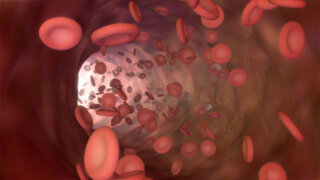 Make your own blood - The Human Body